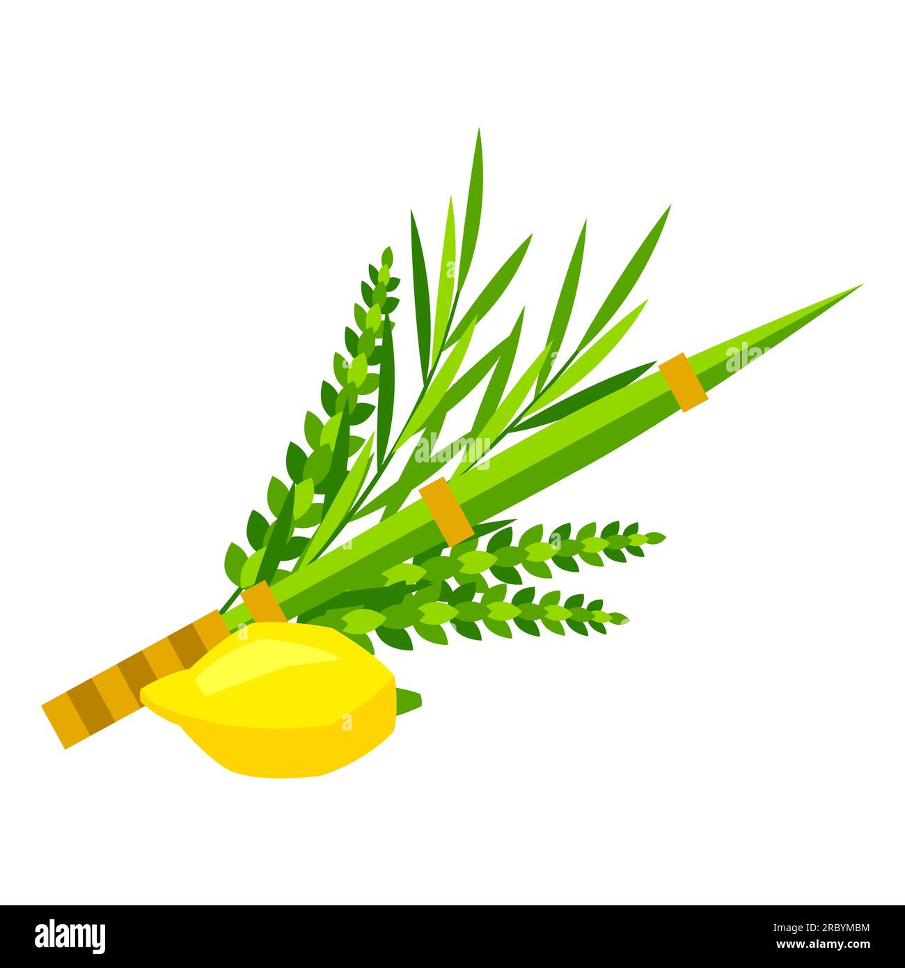 Etrog ritual fruit Stock Vector Images - Alamy