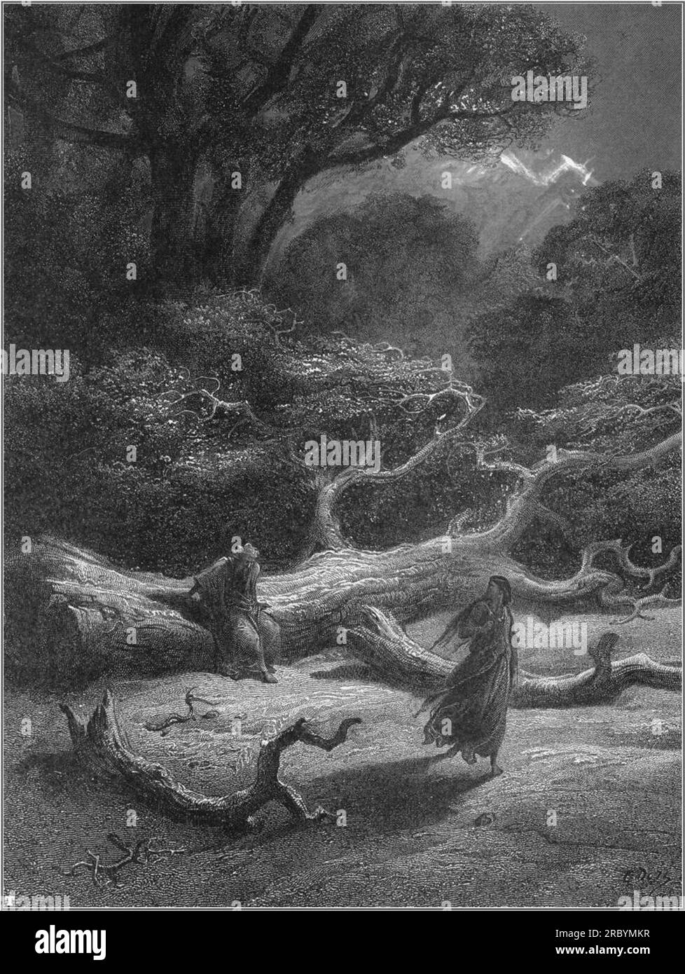 Idylls of the King by Gustave Dore Stock Photo - Alamy