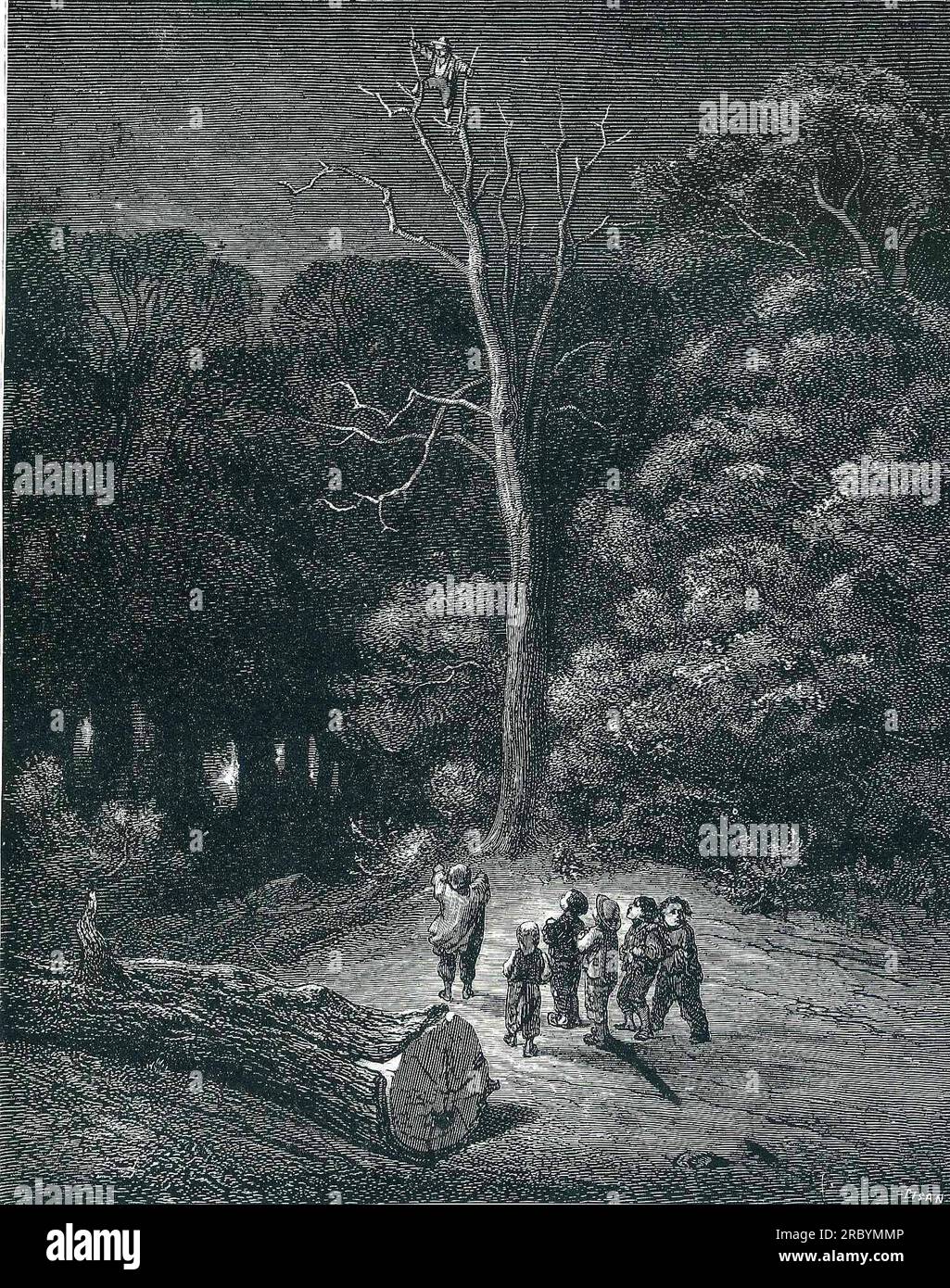 Hop O My Thumb Climbs to the Top of a Tall Tree to See What He Can See ...