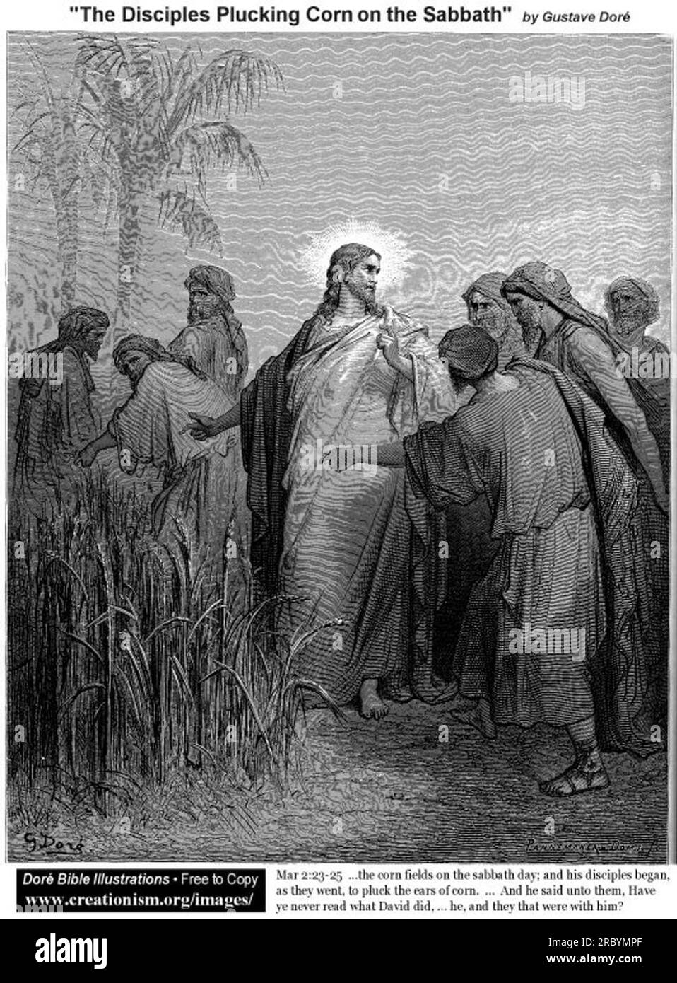 The disciples plucking corn hi-res stock photography and images - Alamy