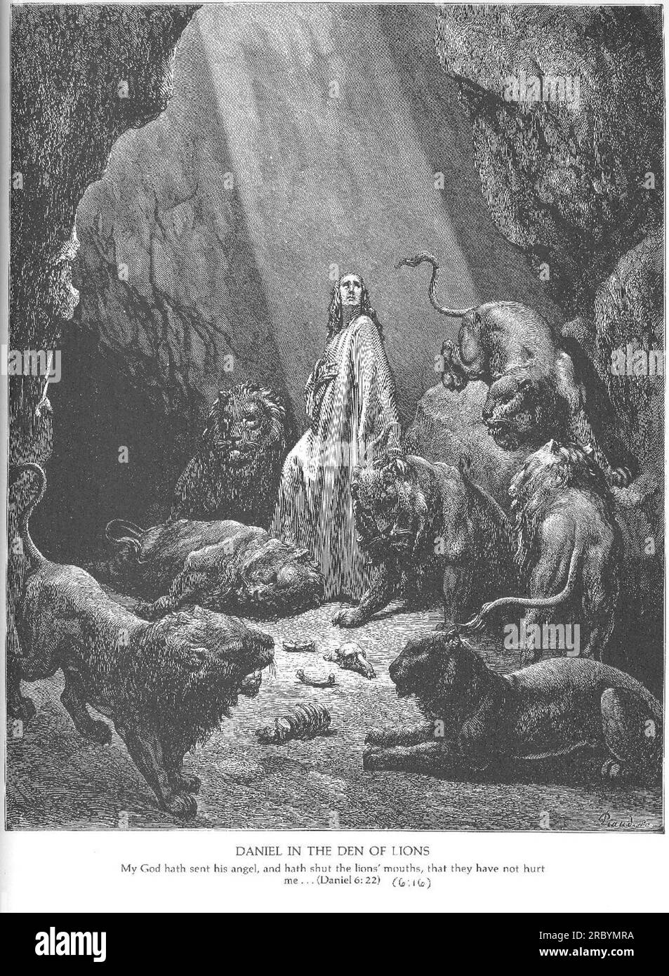 Daniel lions engraving hi-res stock photography and images - Alamy