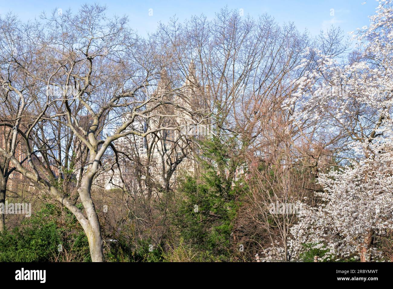 New York, USA - April 13, 2023: View of Manhattan's Central Park in ...