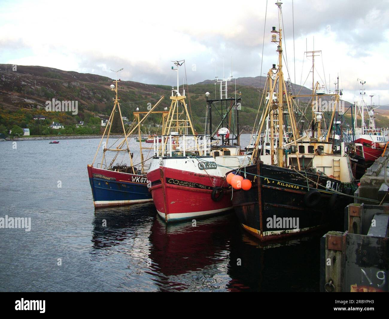 The colourfull fishing boats in the shelter of the quay at Ullapool in ...