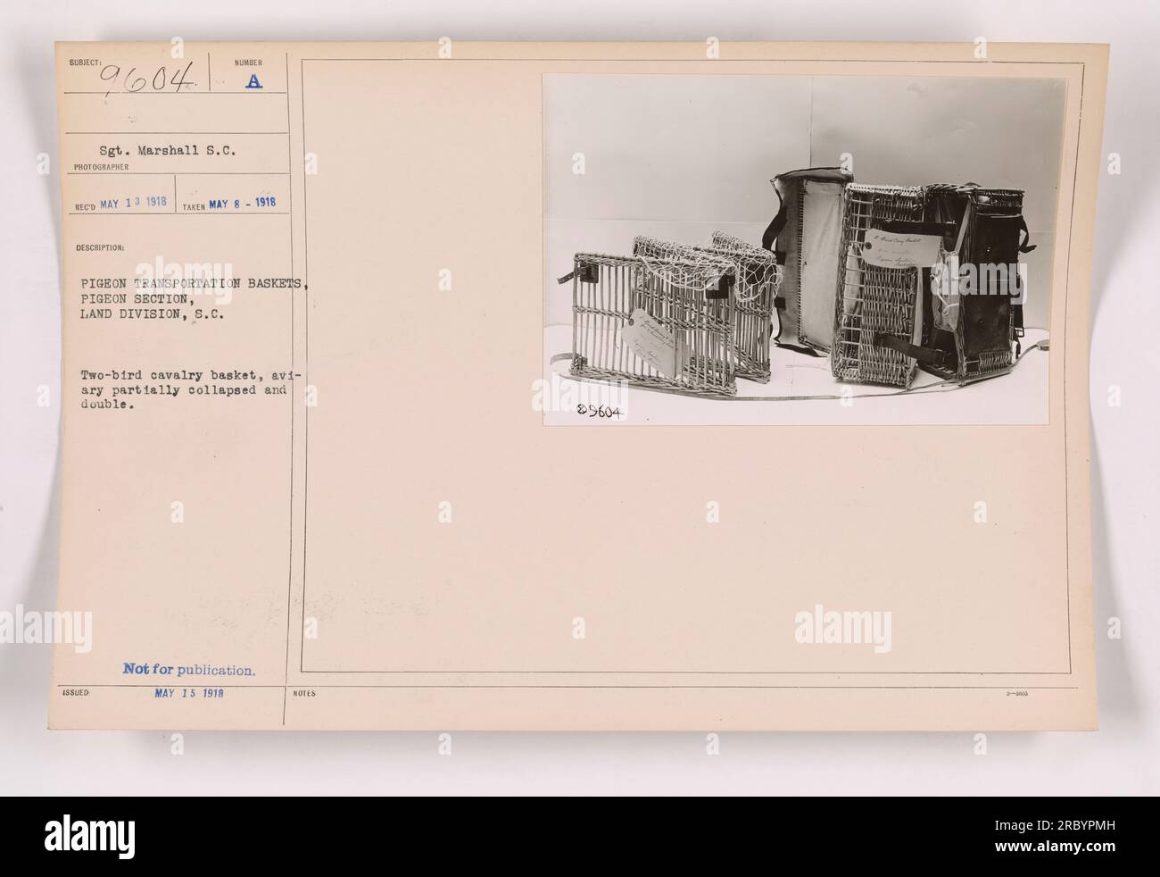 Image depicts a partially collapsed double-bird cavalry basket used for ...
