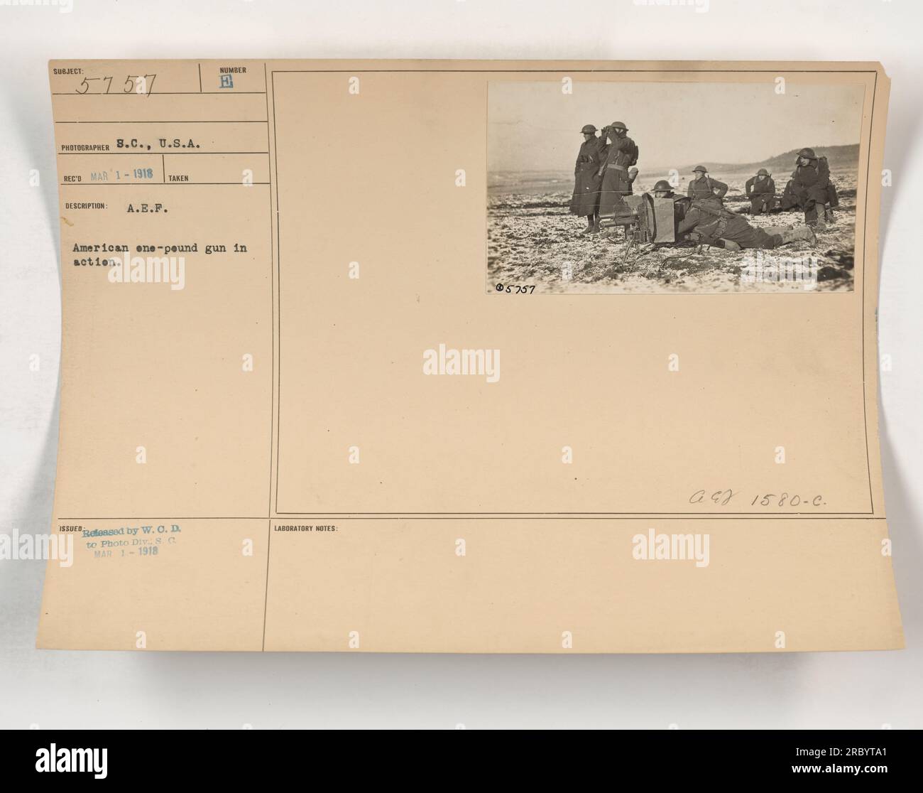 American one-pound gun in action during World War One. Photograph taken ...