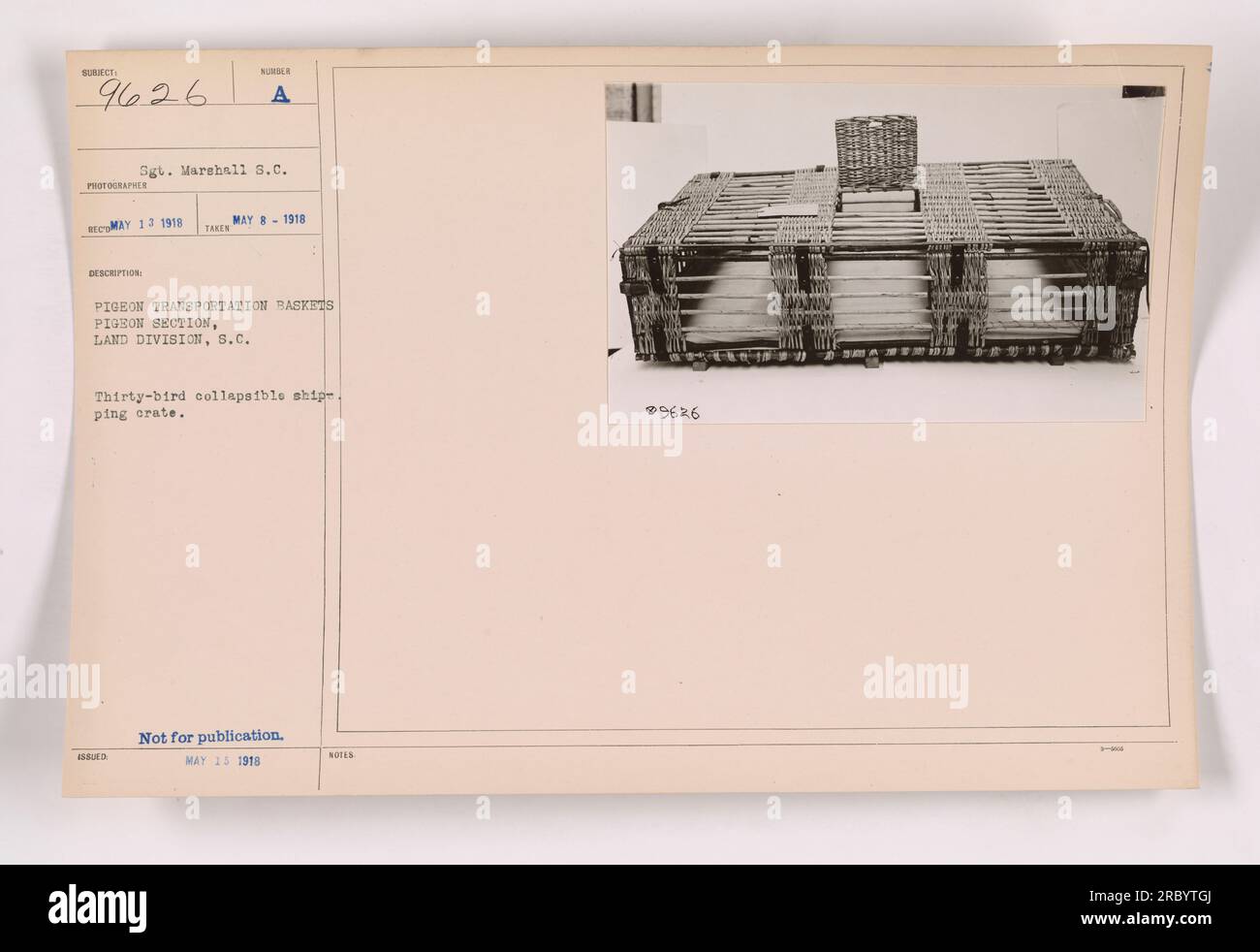 Pigeon transportation baskets hi-res stock photography and images - Alamy