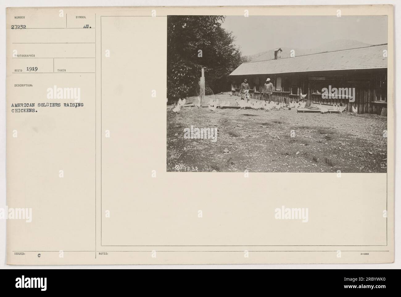 Chickens on military bases hi-res stock photography and images - Alamy