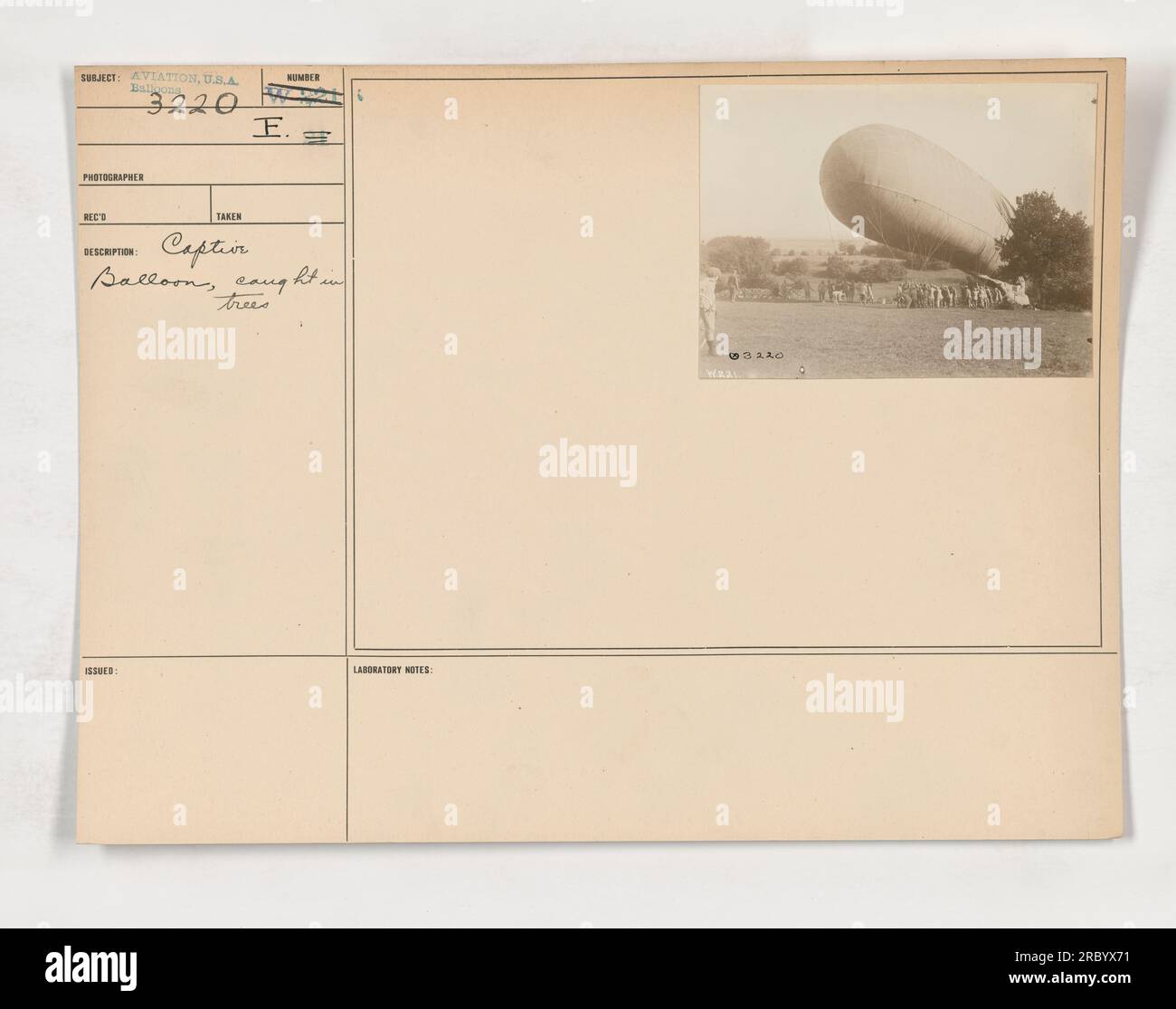 Captive balloon caught amidst foliage. The photograph, titled 111-SC ...