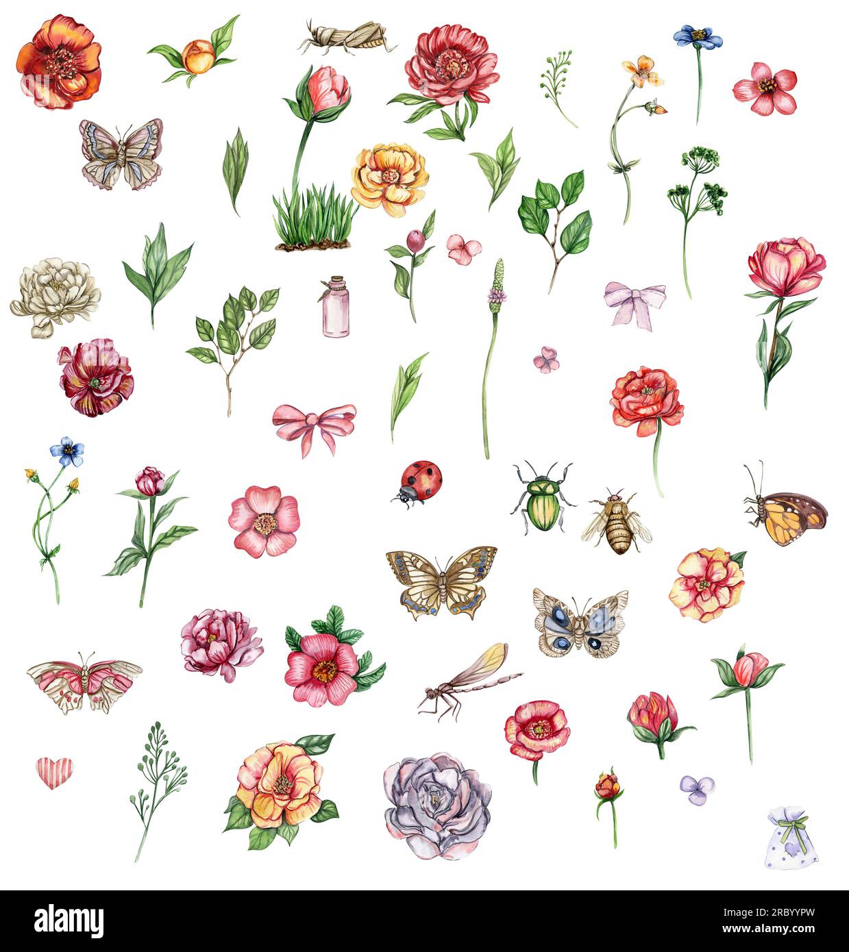 Watercolor illustration set of flowers elements,buterfly. Hand drawn ...