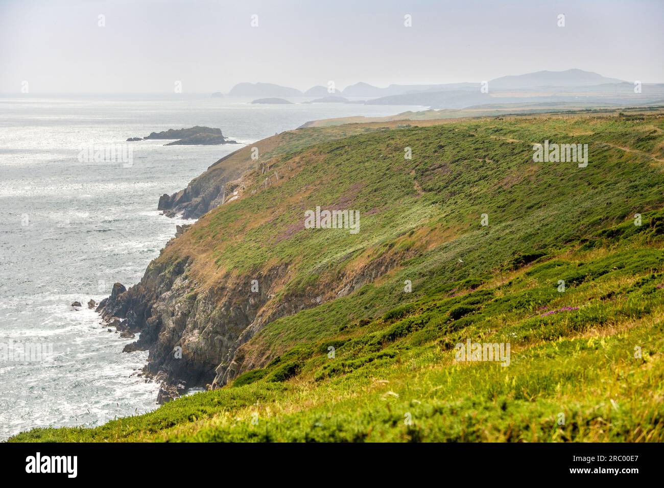 The Pembrokeshire Coast Path between Solva and St Davids in west Wales ...