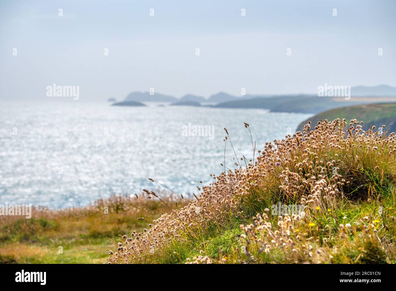 The Pembrokeshire Coast Path between Solva and St Davids in west Wales ...