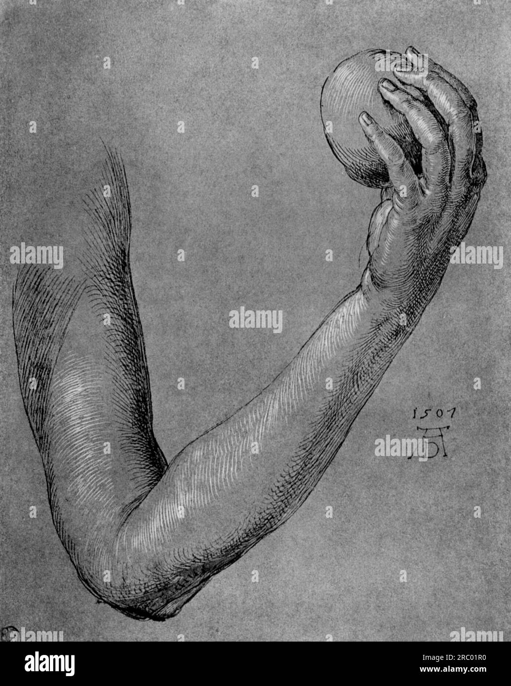 Arm of Eve 1507 by Albrecht Durer Stock Photo - Alamy