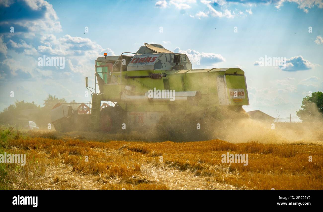 July- 10 -2023- Romania country side-threshing on the field, threshing ...