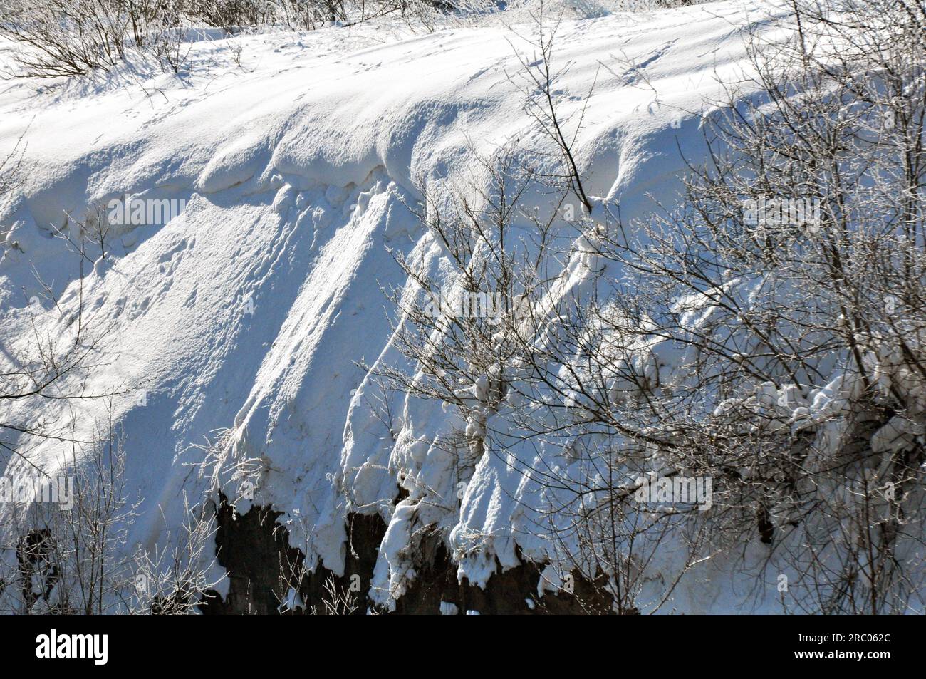 Winter blizzard with wind, snow and frost Stock Photo - Alamy