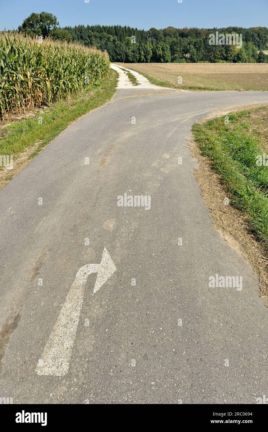 A Bike path with a directional arrow Stock Photo - Alamy