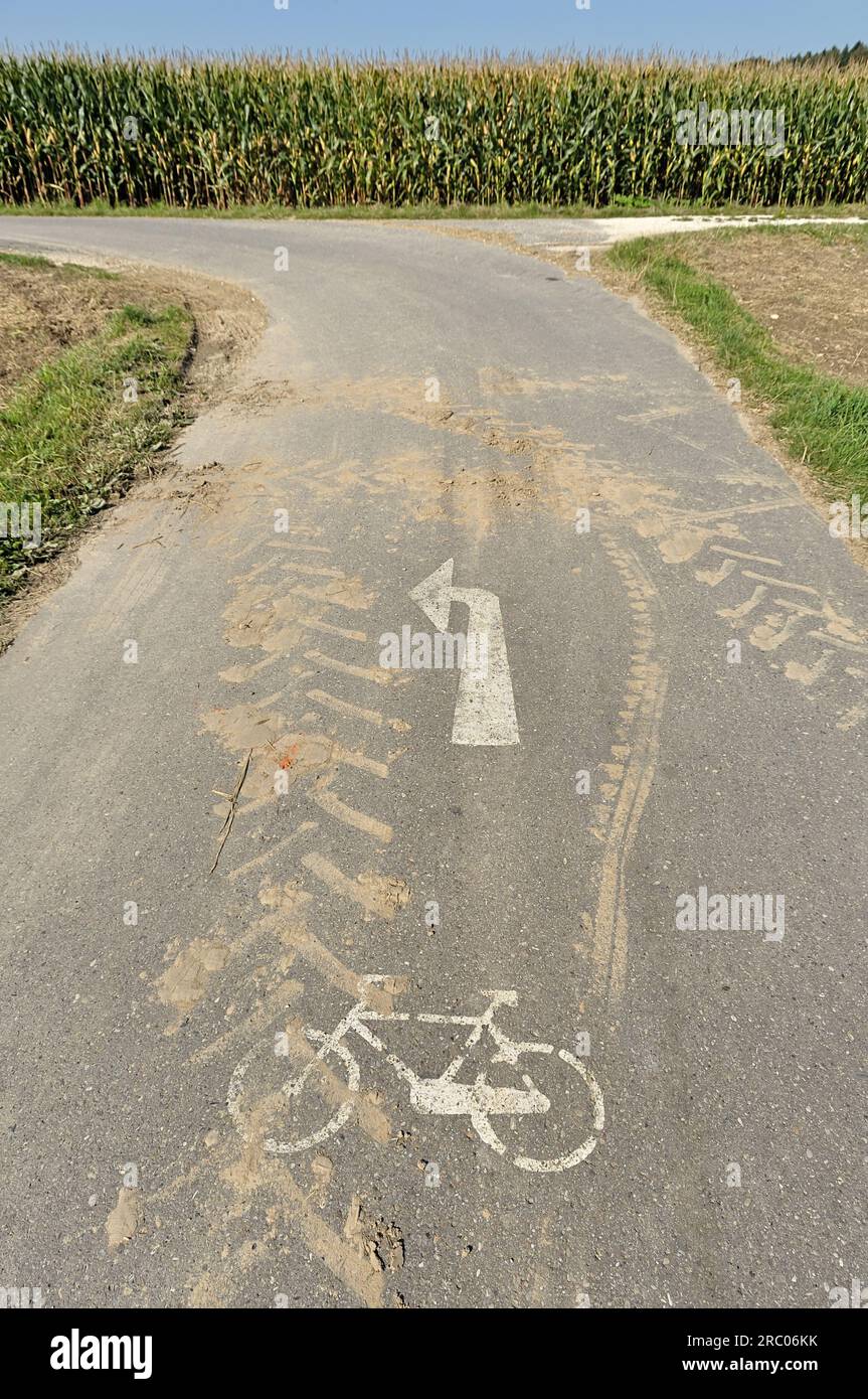 A Bike path with a bike symbol and directional arrow Stock Photo - Alamy