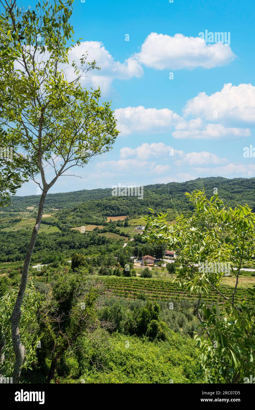 the natural landscape of Istria in the summer season Stock Photo - Alamy