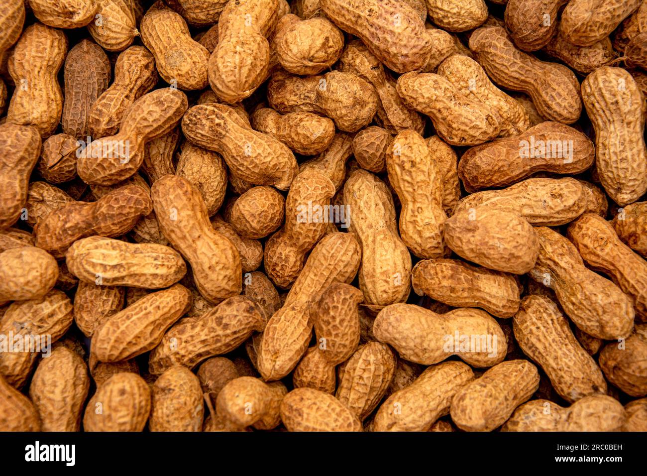 Peanut-covered wallpaper in close-up Stock Photo - Alamy