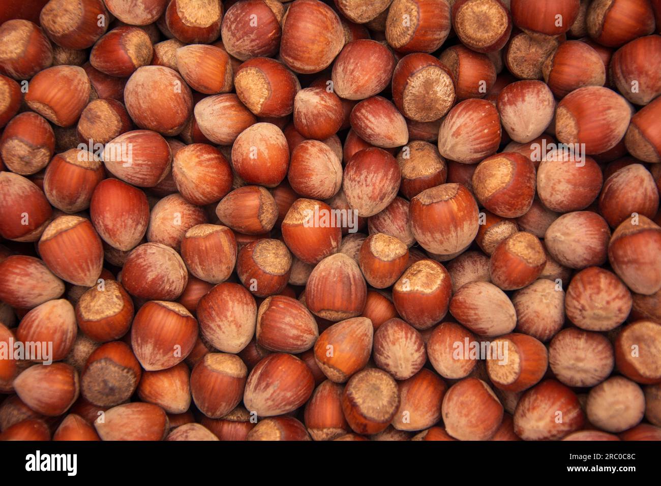 Close shot hazel leaf hi-res stock photography and images - Alamy