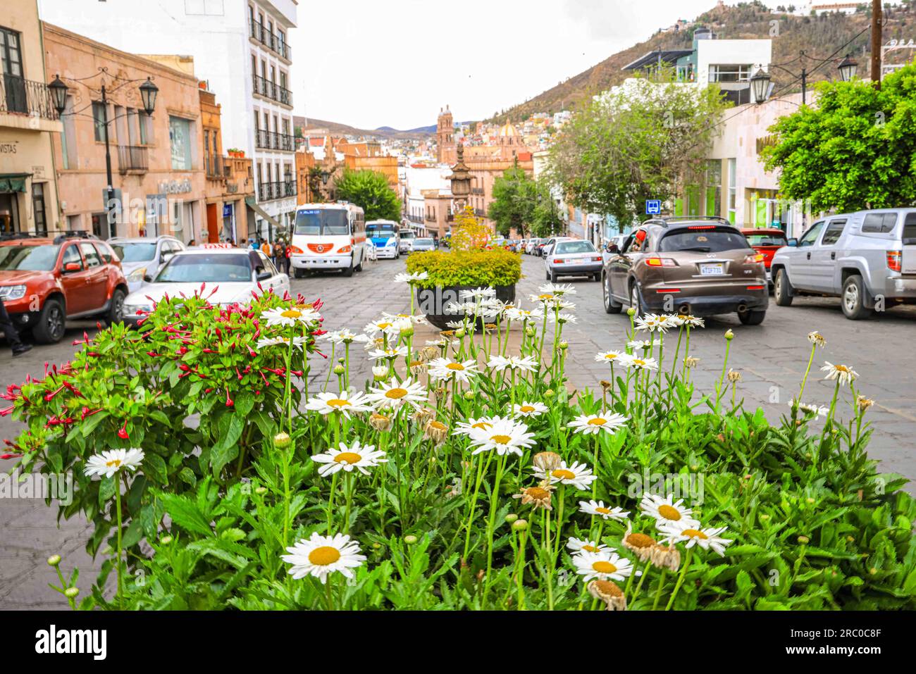Zacatecas Mexico. Colonial zone of the capital city of the state of ...