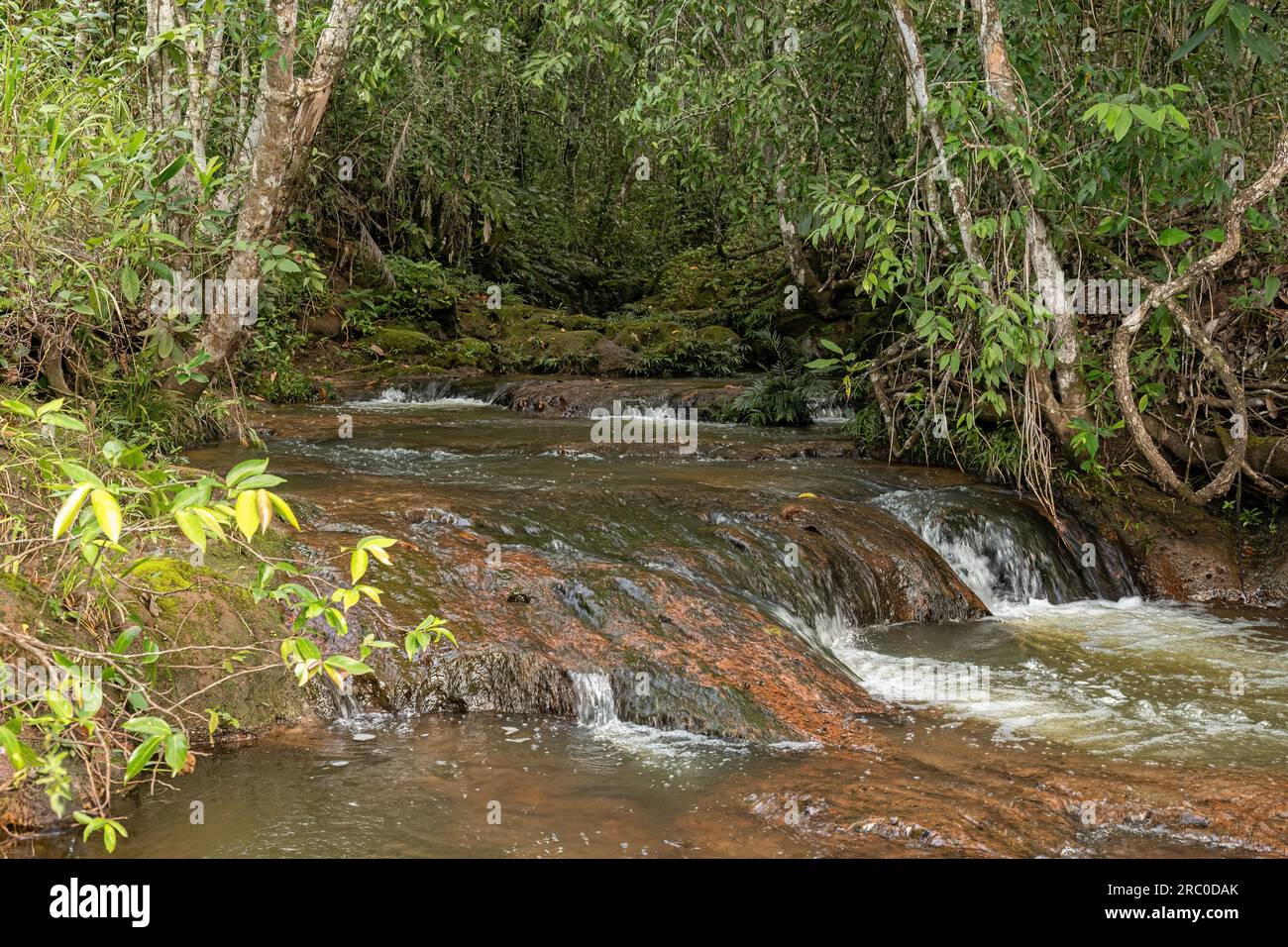 stream with rocks and small waterfalls in nature Stock Photo - Alamy