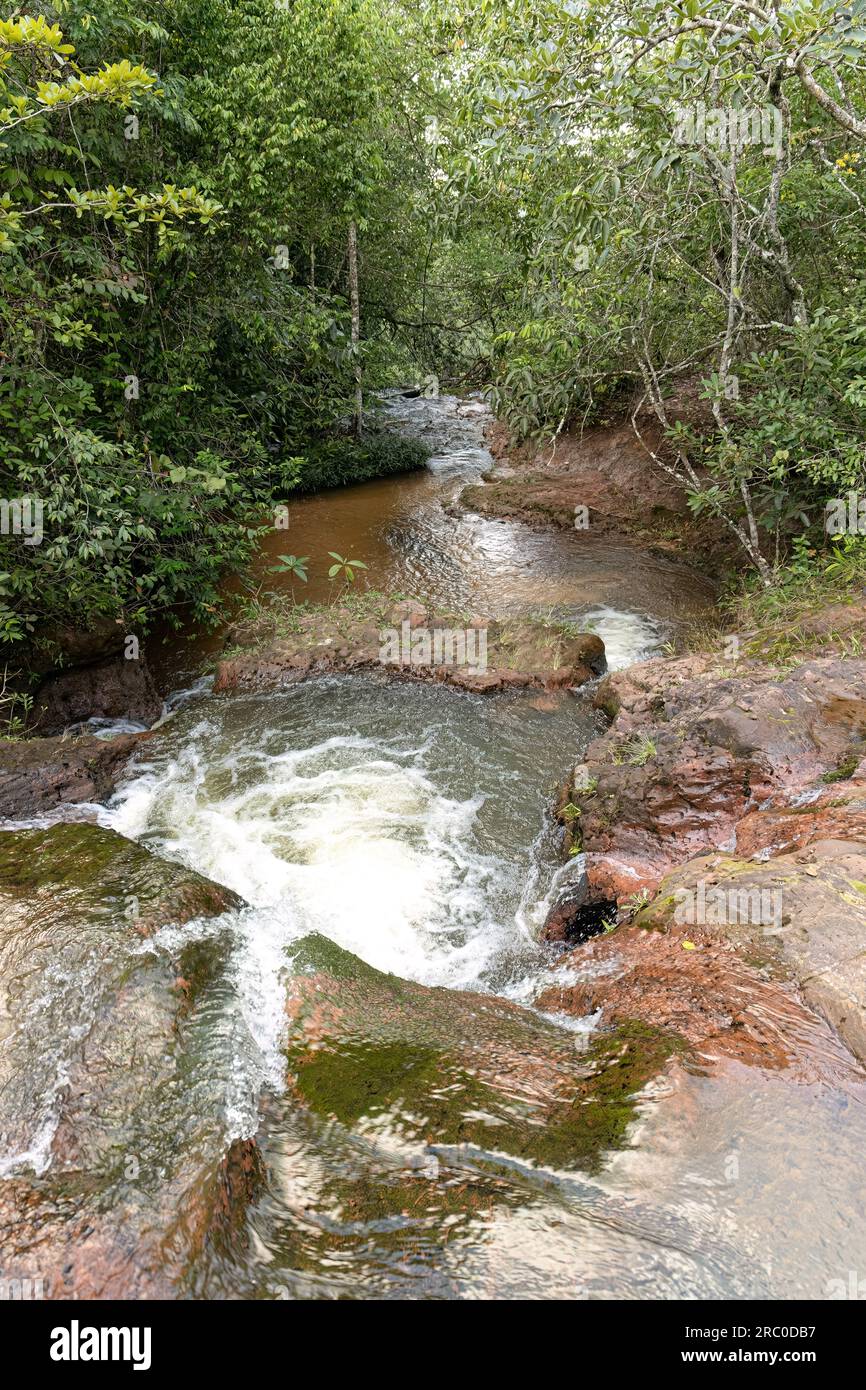 stream with rocks and small waterfalls in nature Stock Photo - Alamy