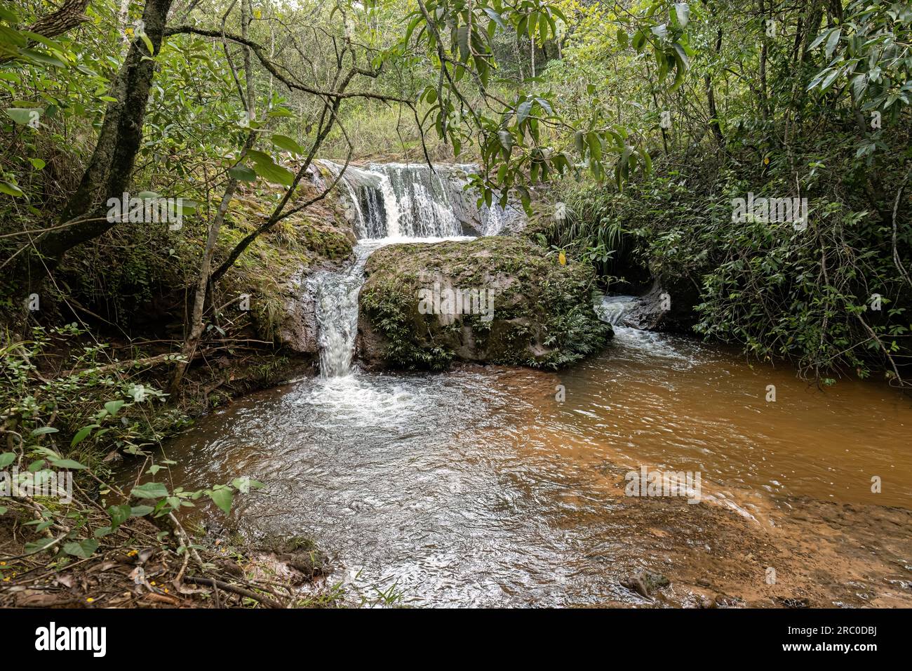 stream with rocks and small waterfalls in nature Stock Photo - Alamy
