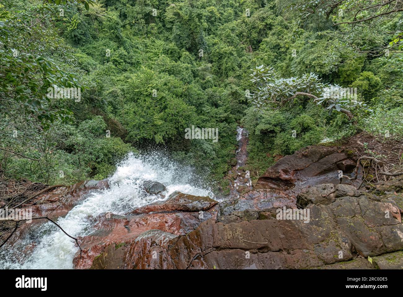 green forest lookout top view of a tall waterfall Stock Photo - Alamy