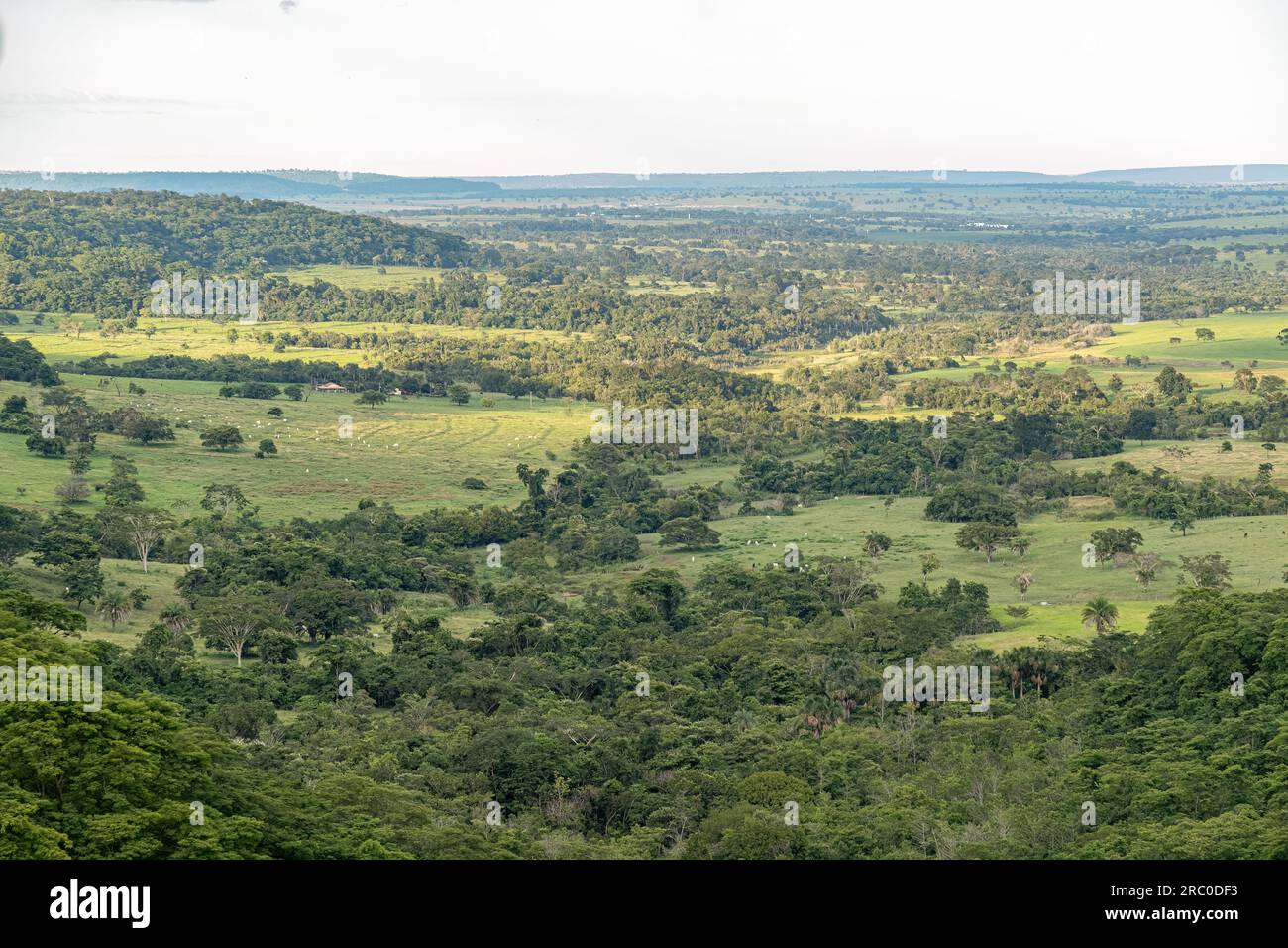 green forest lookout top view of a tall waterfall Stock Photo - Alamy