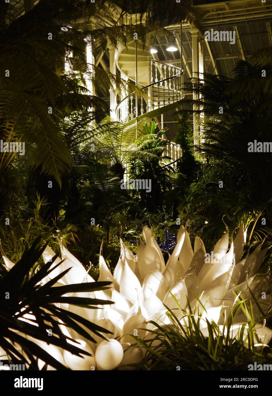 Beluga Boat, 2018, by Dale Chihuly - illuminated in the Temperate House ...