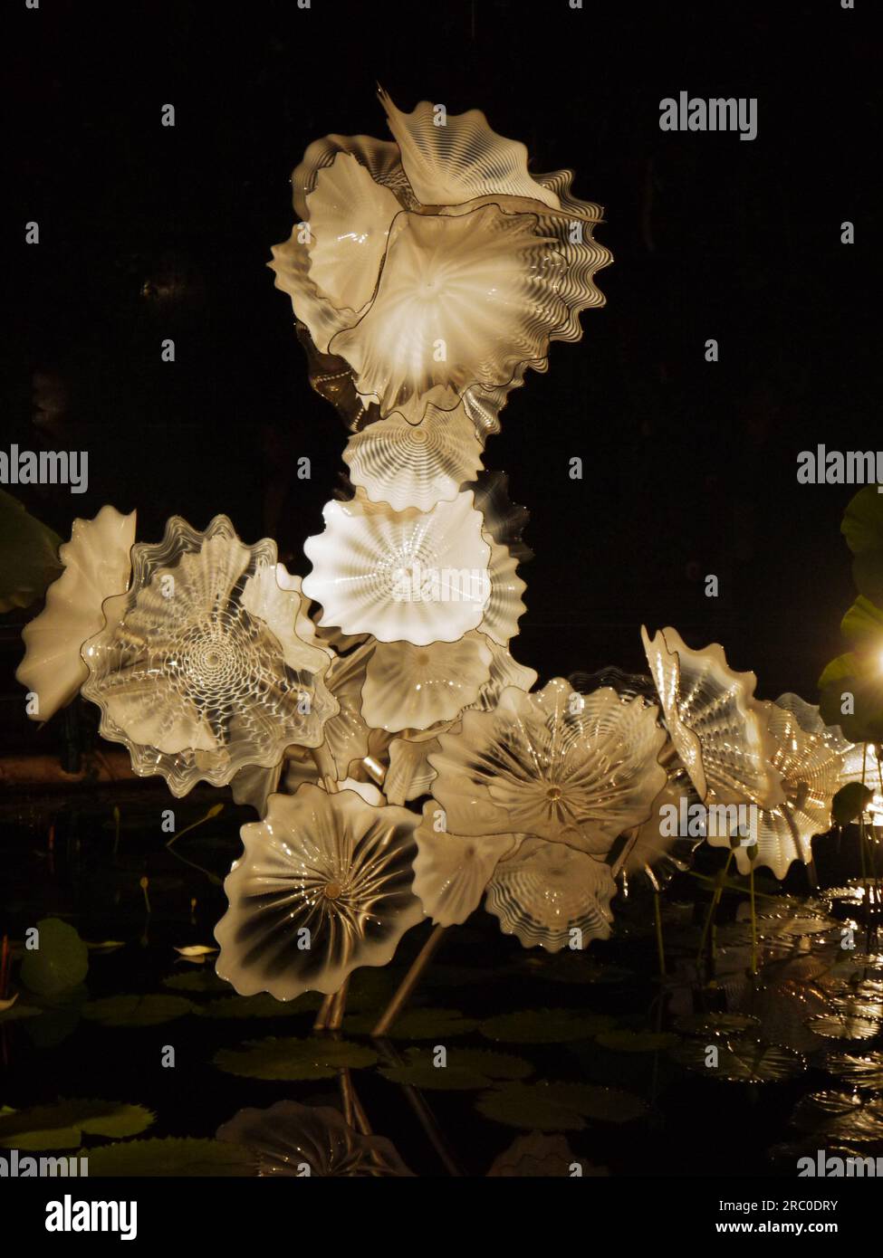 Ethereal White Persian Pond, 2018, by Dale Chihuly, illuminated as part of the Chihuly Nights ...