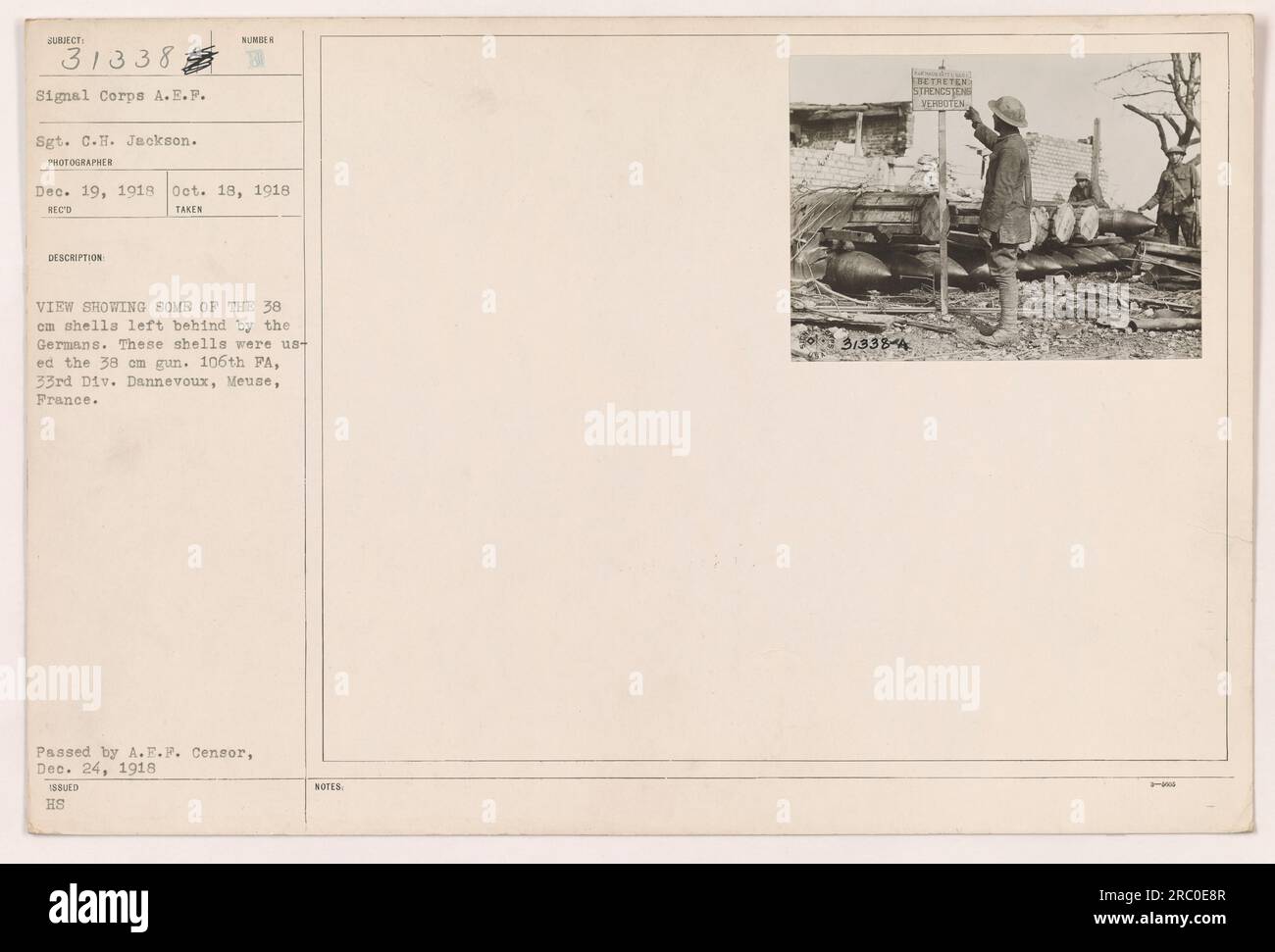 38 em shells hi-res stock photography and images - Alamy