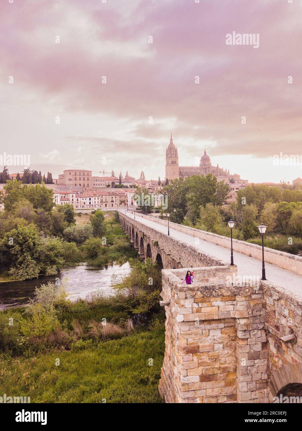 Aerial view of Tormes river and Salamanca architecture with Cathedral ...
