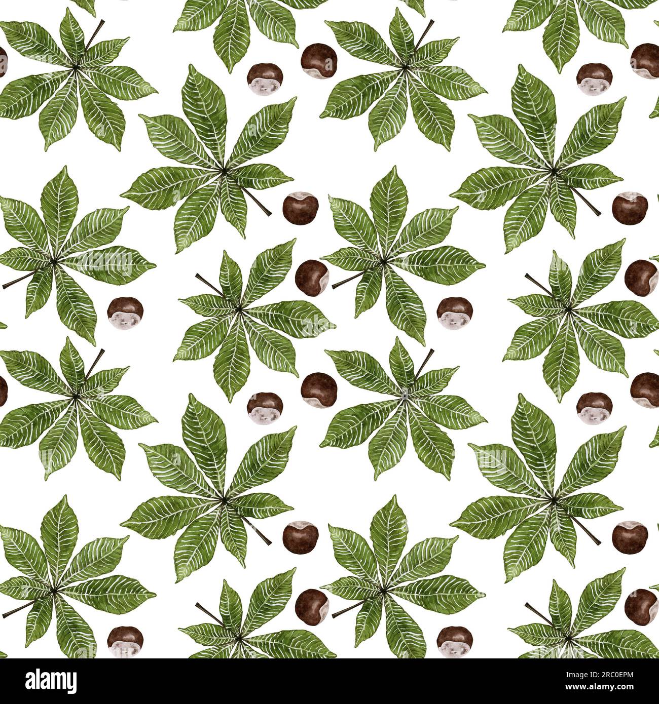 Floral seamless pattern with chestnut leaves and fruits. Watercolor ...