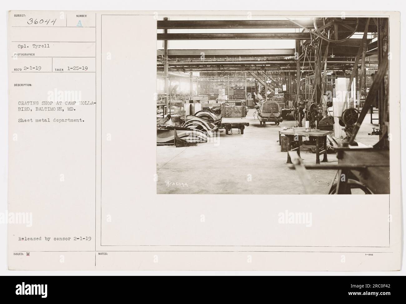 Camp holla bird activities hi-res stock photography and images - Alamy