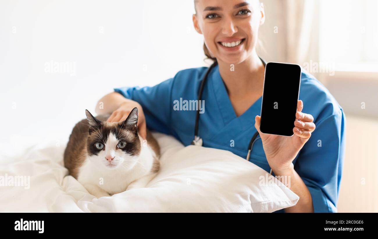 Veterinarian Lady With Cat Patient Showing Smartphone Empty Screen ...