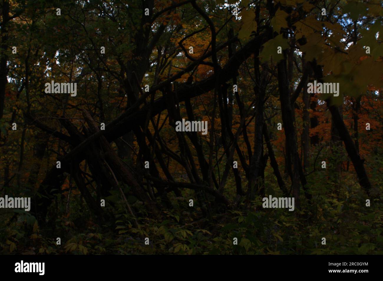 Spooky structure hi-res stock photography and images - Alamy