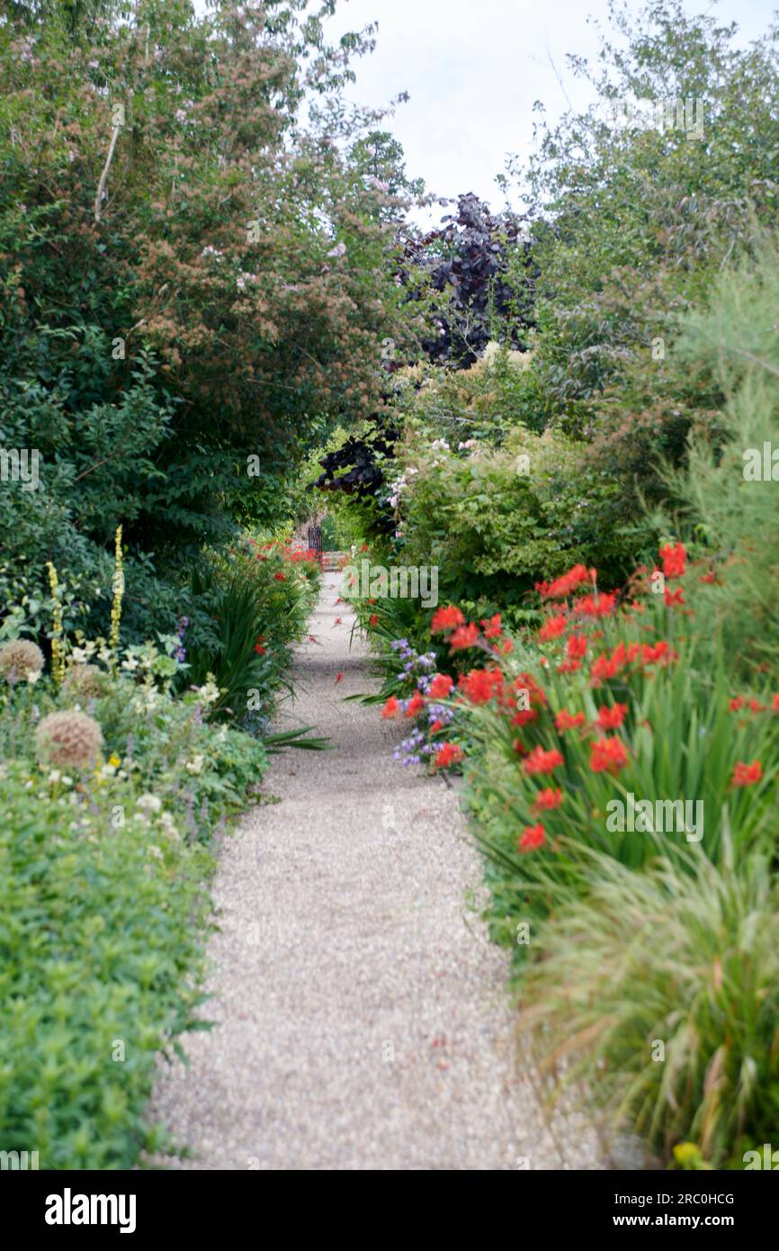 English garden borders full of flowering plants Stock Photo - Alamy