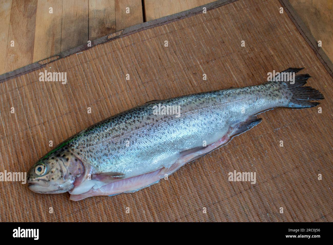 Brown trout, Salmo trutta: The brown trout, scientifically known as ...