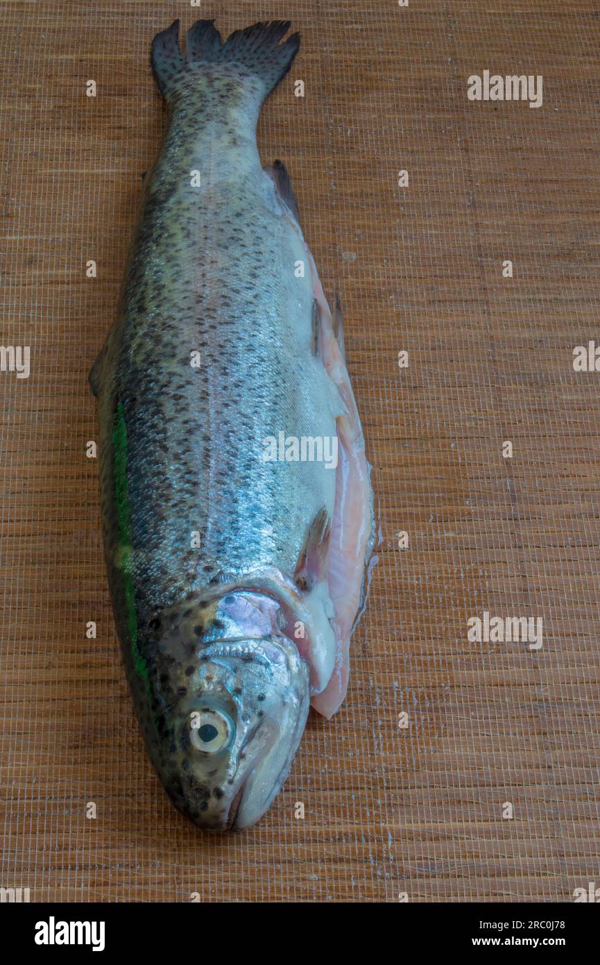 Brown trout, Salmo trutta: The brown trout, scientifically known as ...