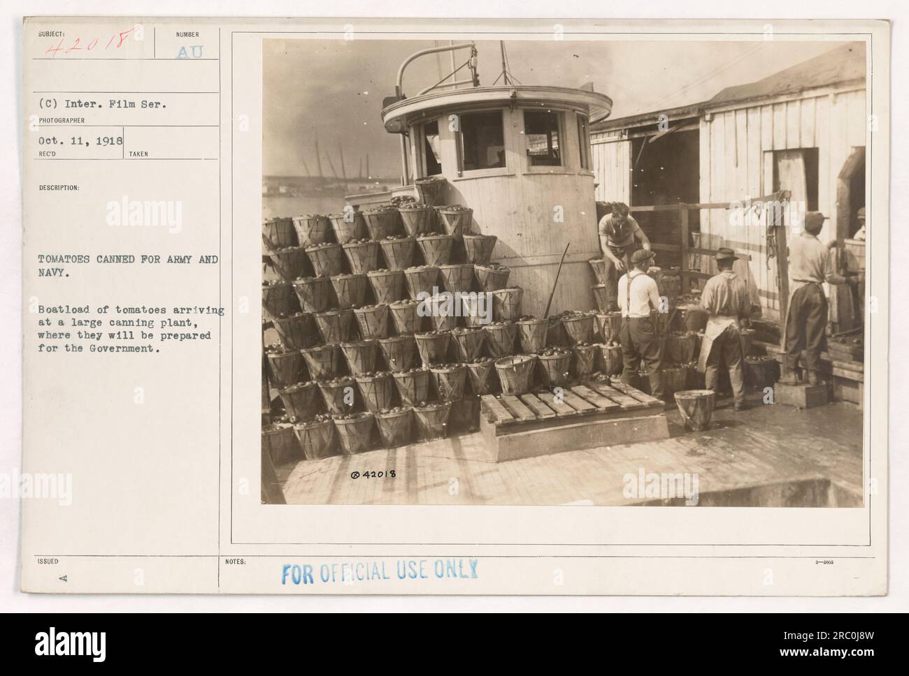 A boatload of tomatoes arrives at a large canning plant, where they ...