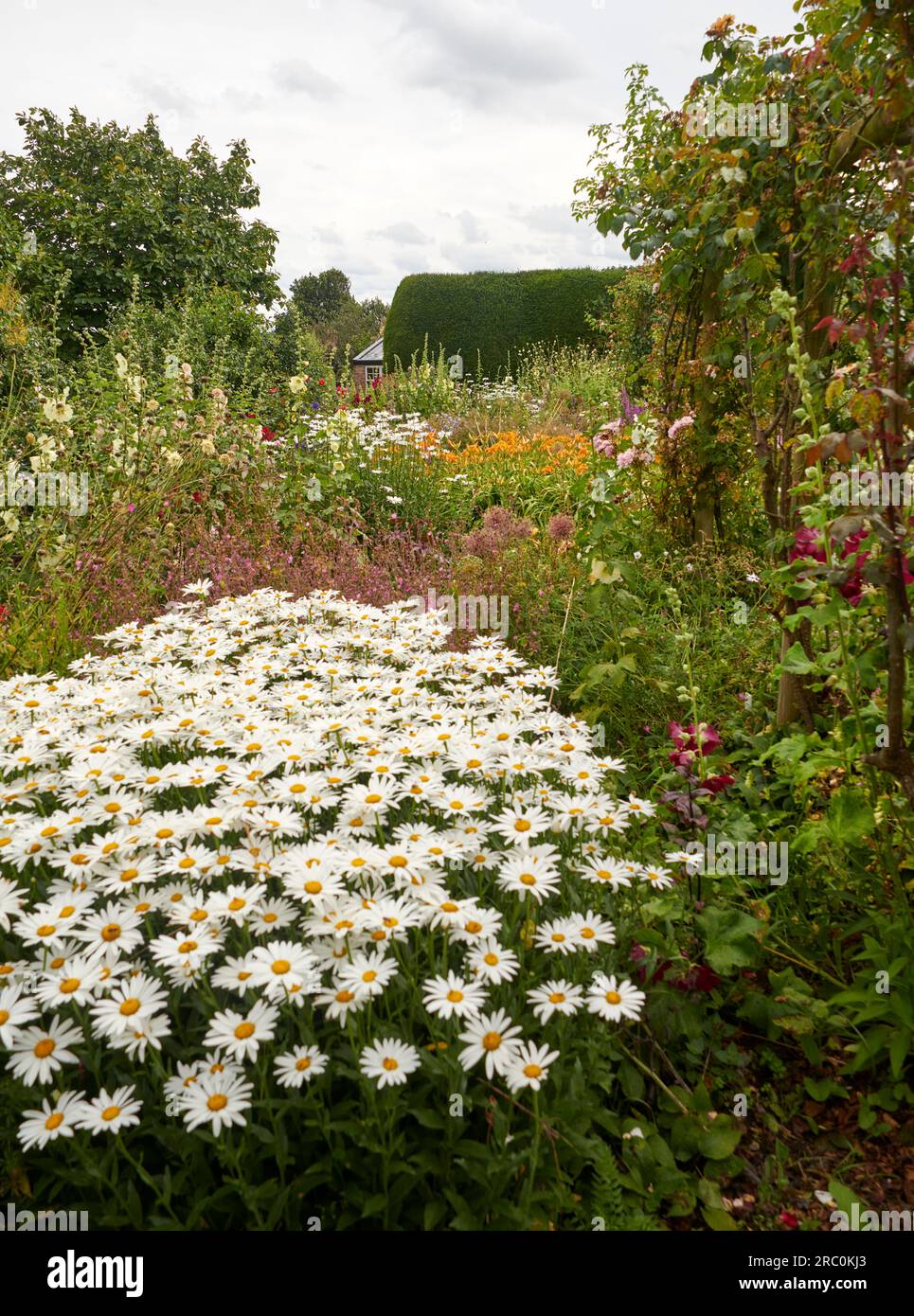 Typical 'English Country Garden' at the height of summer with flower ...