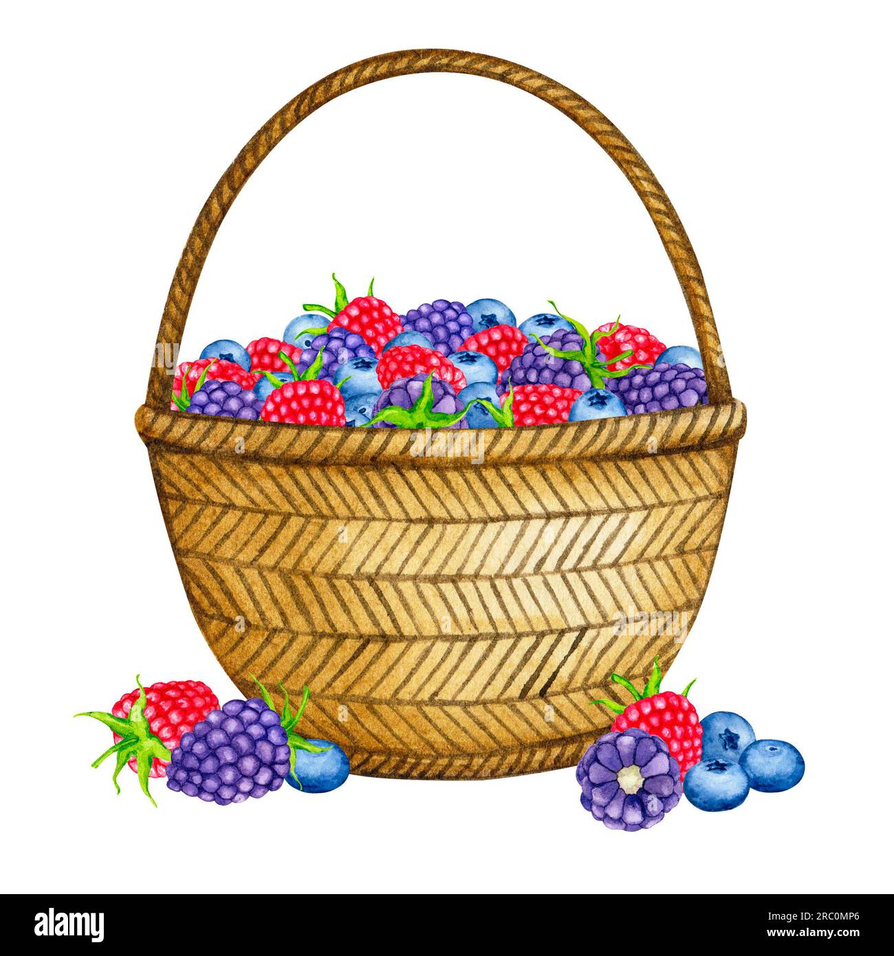 Wild Blueberries Clip Art