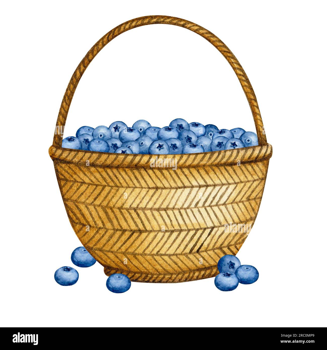 Basket with blueberries. Watercolor composition. Realistic clipart for ...