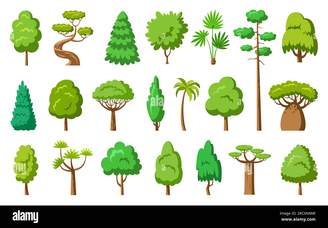 Cypress Tree Clipart