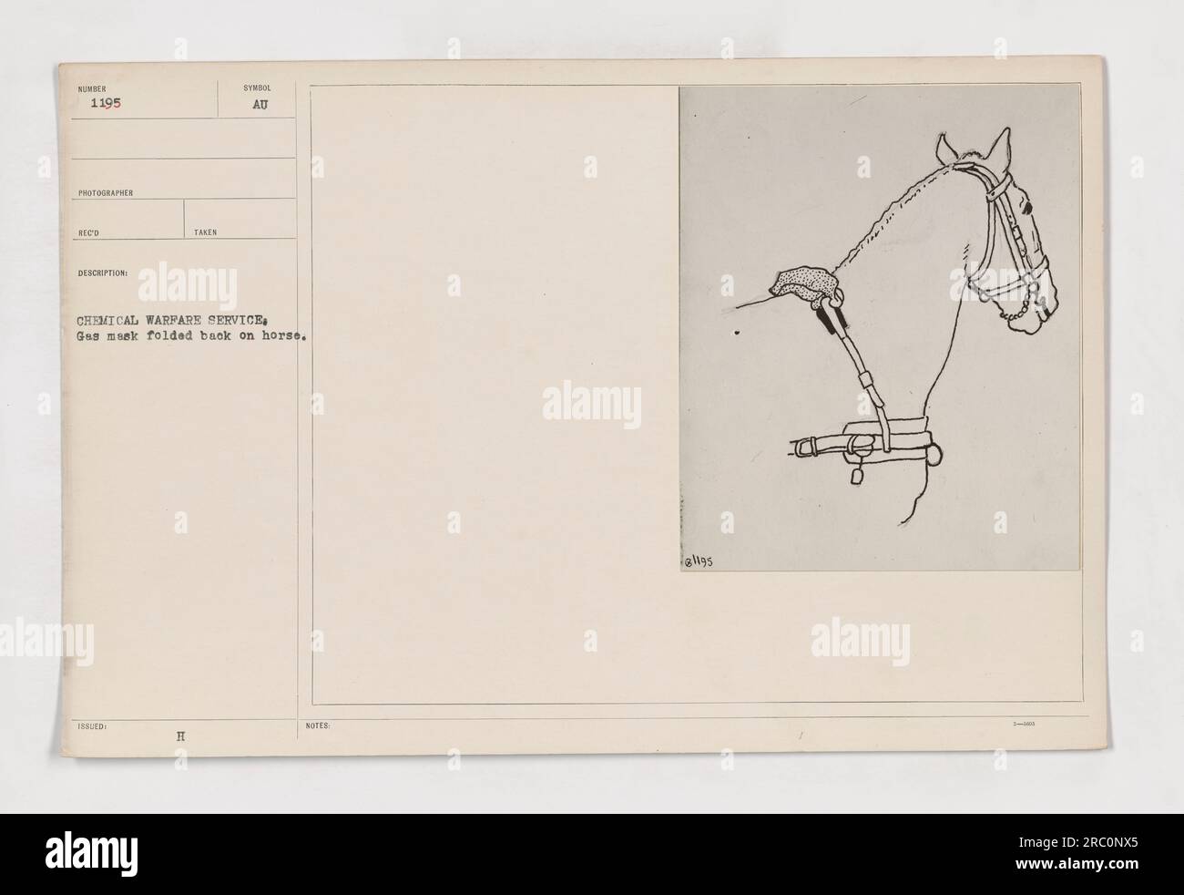 A horse equipped with a gas mask provided by the Chemical Warfare ...