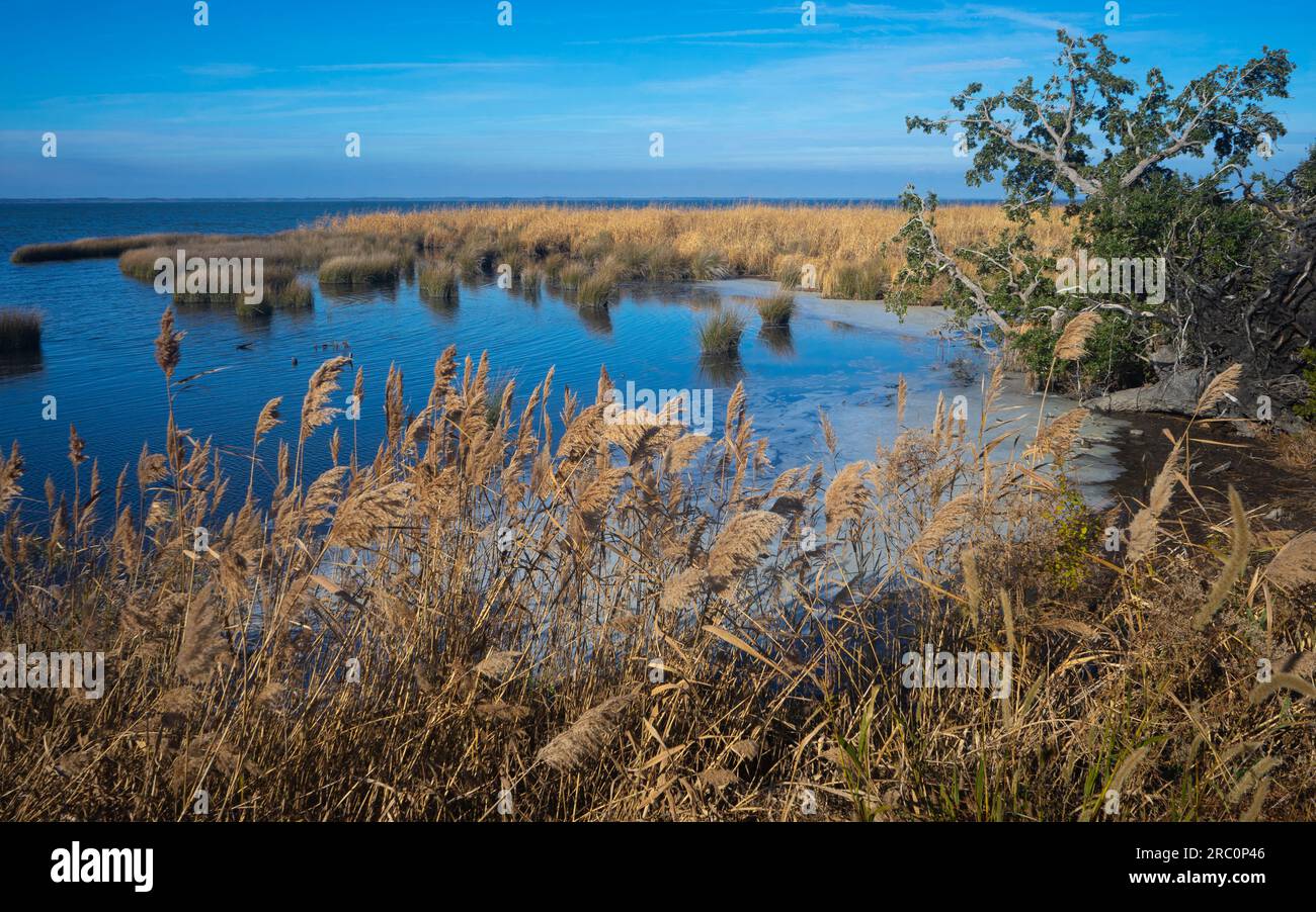 Currituck Sound | Town of Duck, Outer Banks, North Carolina, USA Stock ... Currituck Sound | Town of Duck, Outer Banks, North Carolina, USA Stock ...