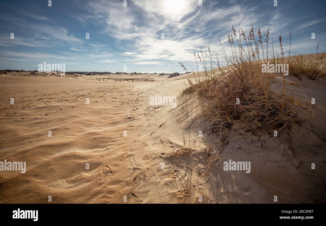 Sand Dunes at Jockey's Ridge State Park | Nags Head (Outer Banks ...