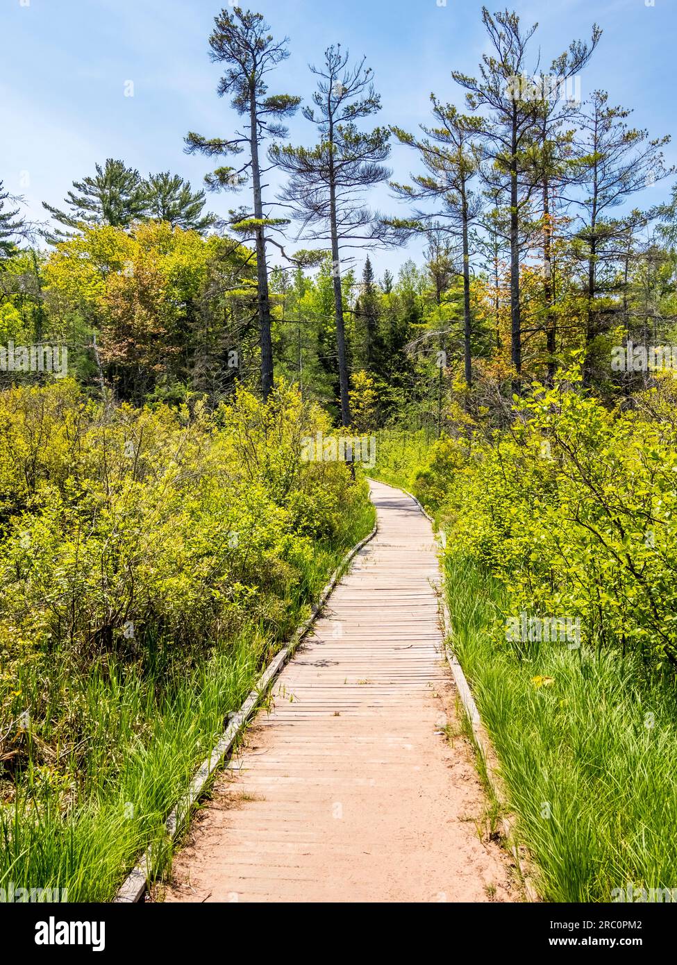 Boardwalk to the beach in Big Bay State Park on Lake Superior on ...