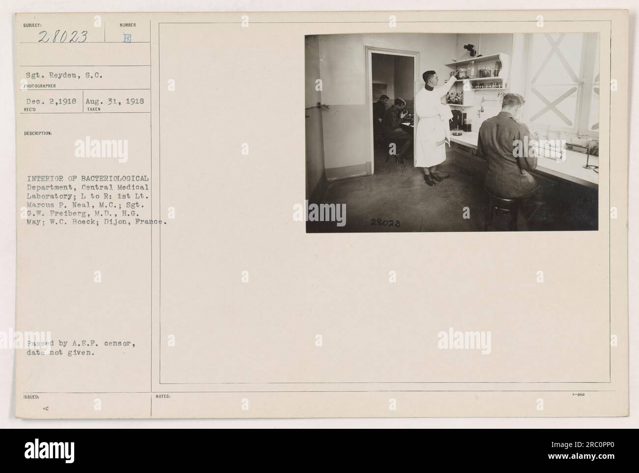 World war 1 medical laboratory hi-res stock photography and images - Alamy